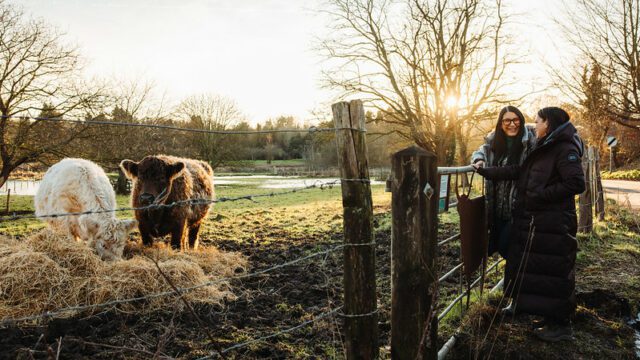Eynsford Walk - Soar with the Birds - Explore Kent