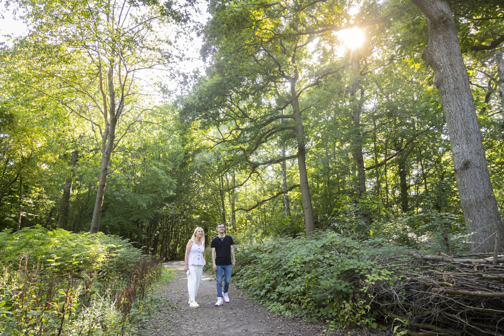Ham Street Woods Stile Free Trail - Explore Kent