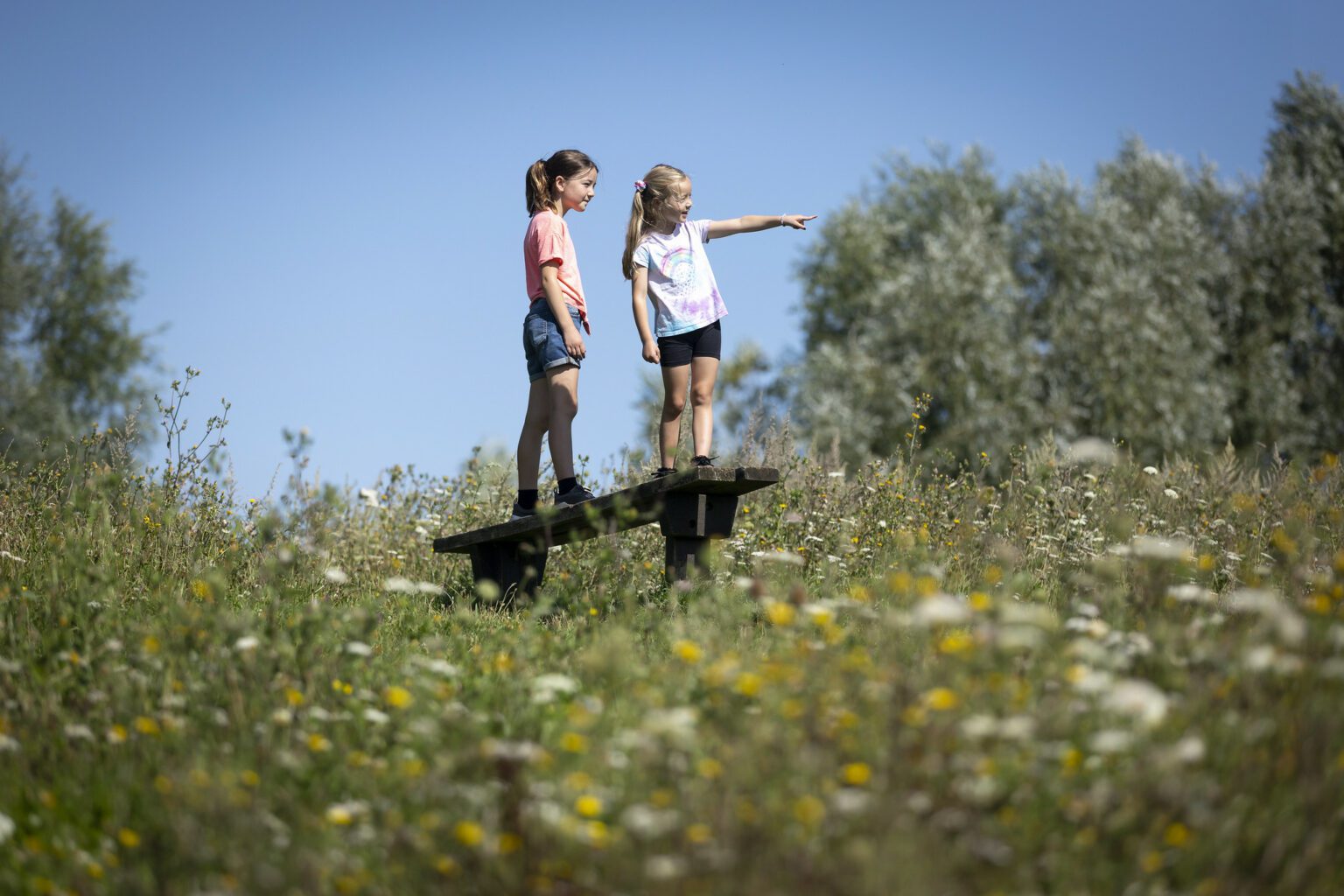 Leybourne Lakes Country Park - Explore Kent