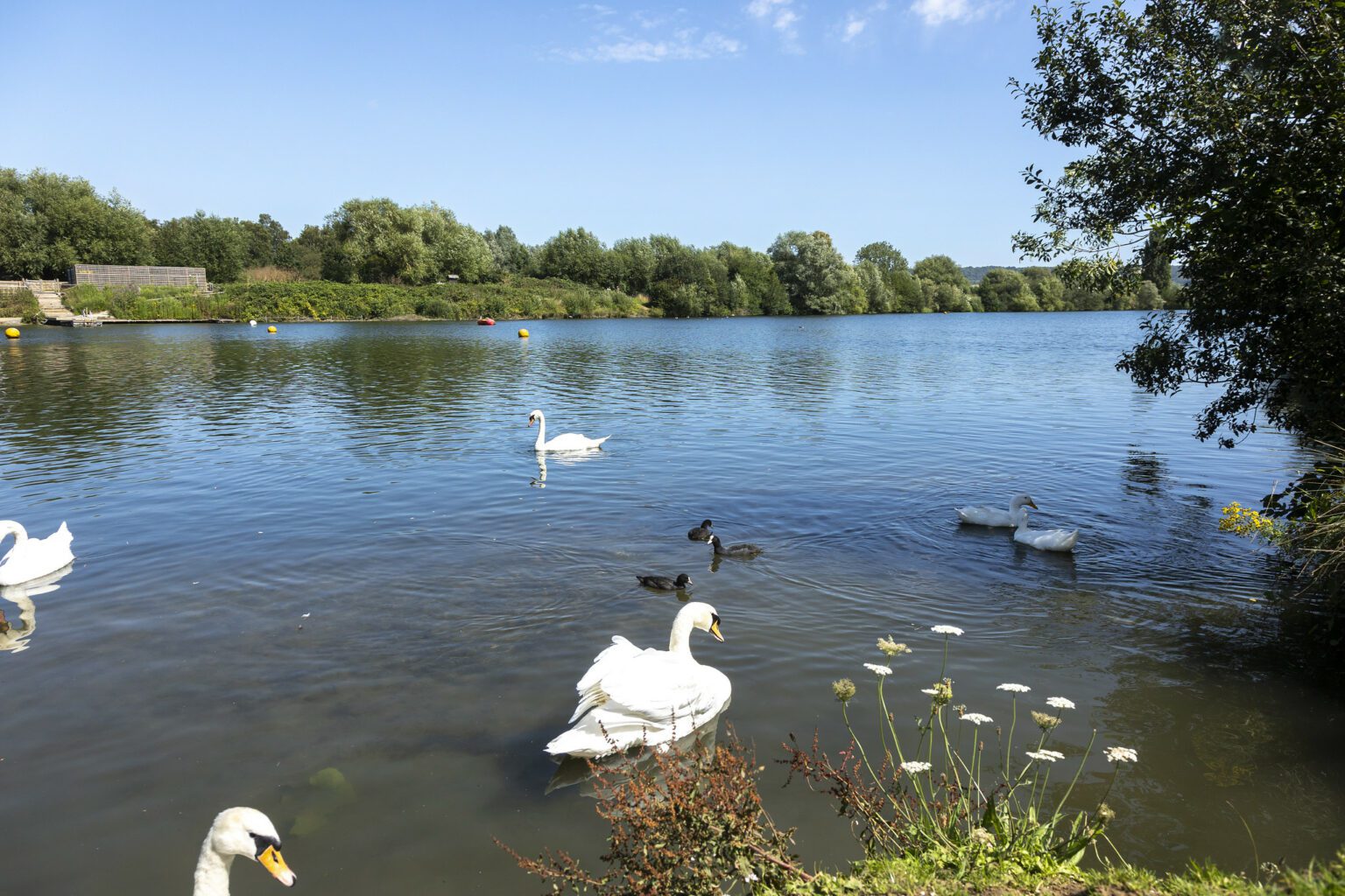 Leybourne Lakes Country Park - Explore Kent