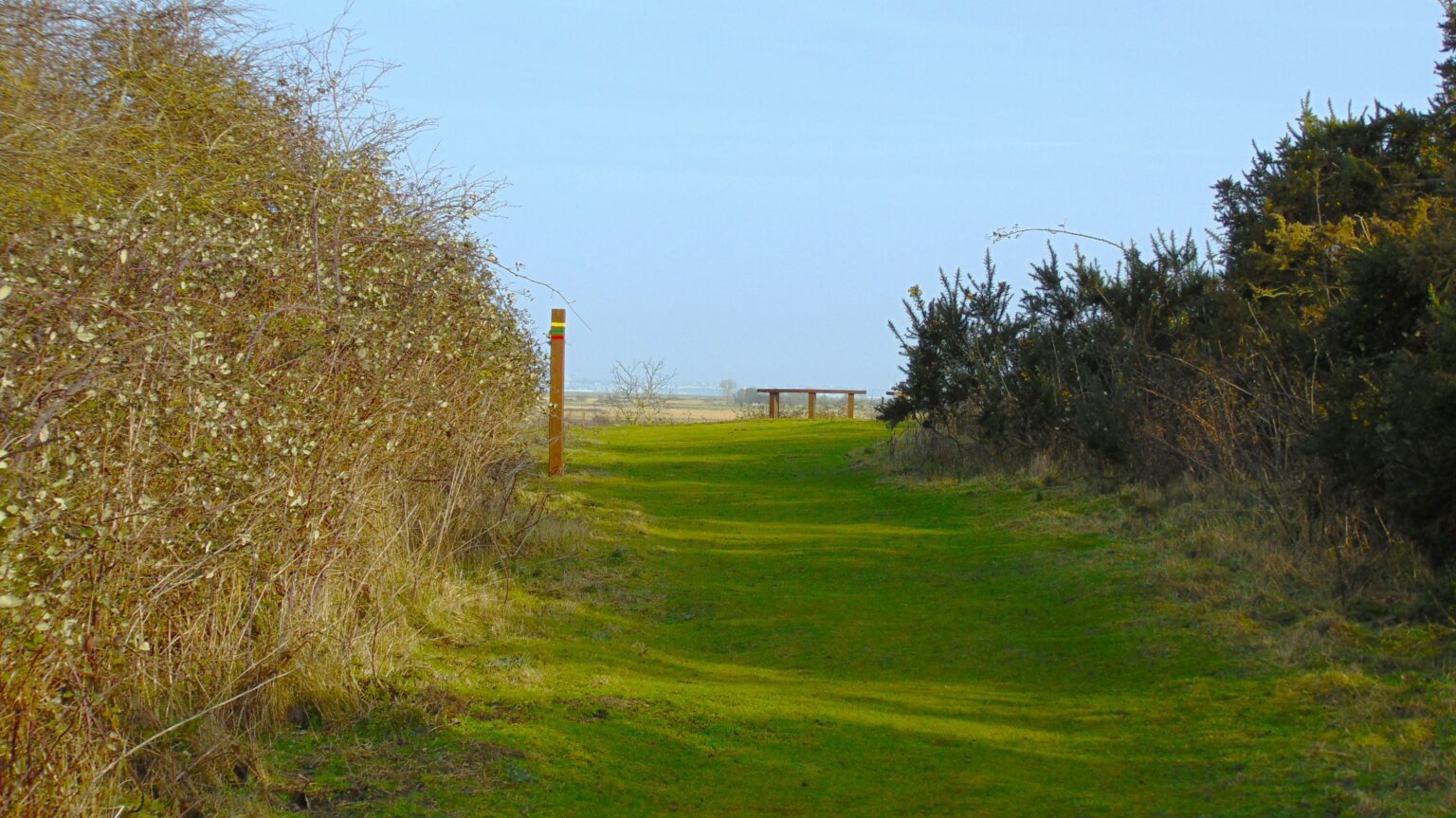 Northward Hill RSPB Nature Reserve - Explore Kent
