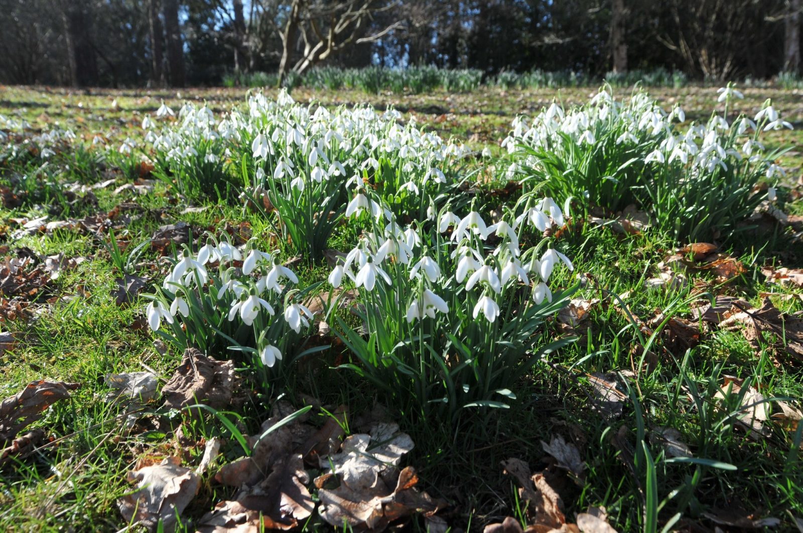 Signs of Winter - Explore Kent