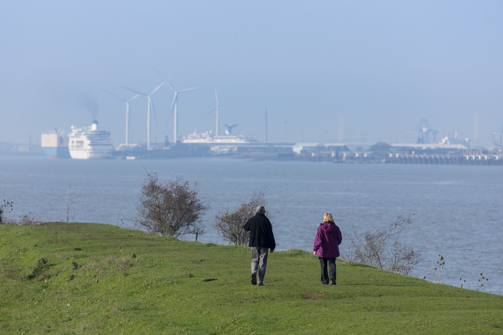 Higham Marshes Walk: Escape To Nature - Explore Kent