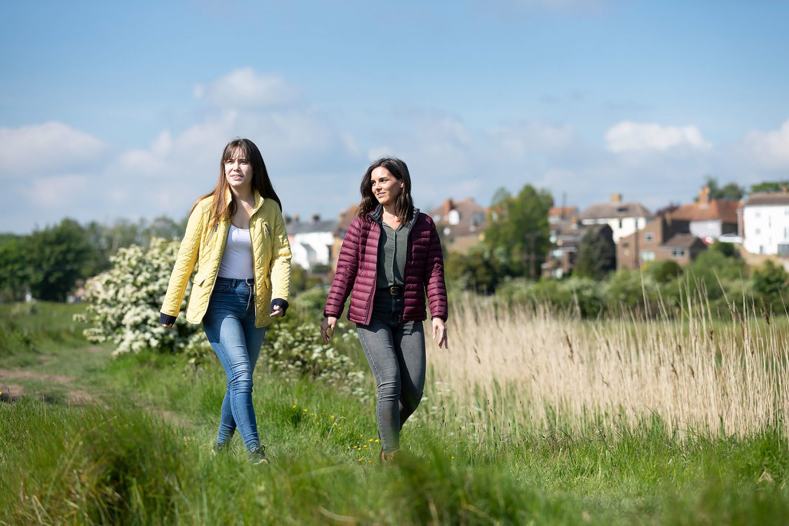 Oare Marshes Walk: Wetlands And Wildlife - Explore Kent