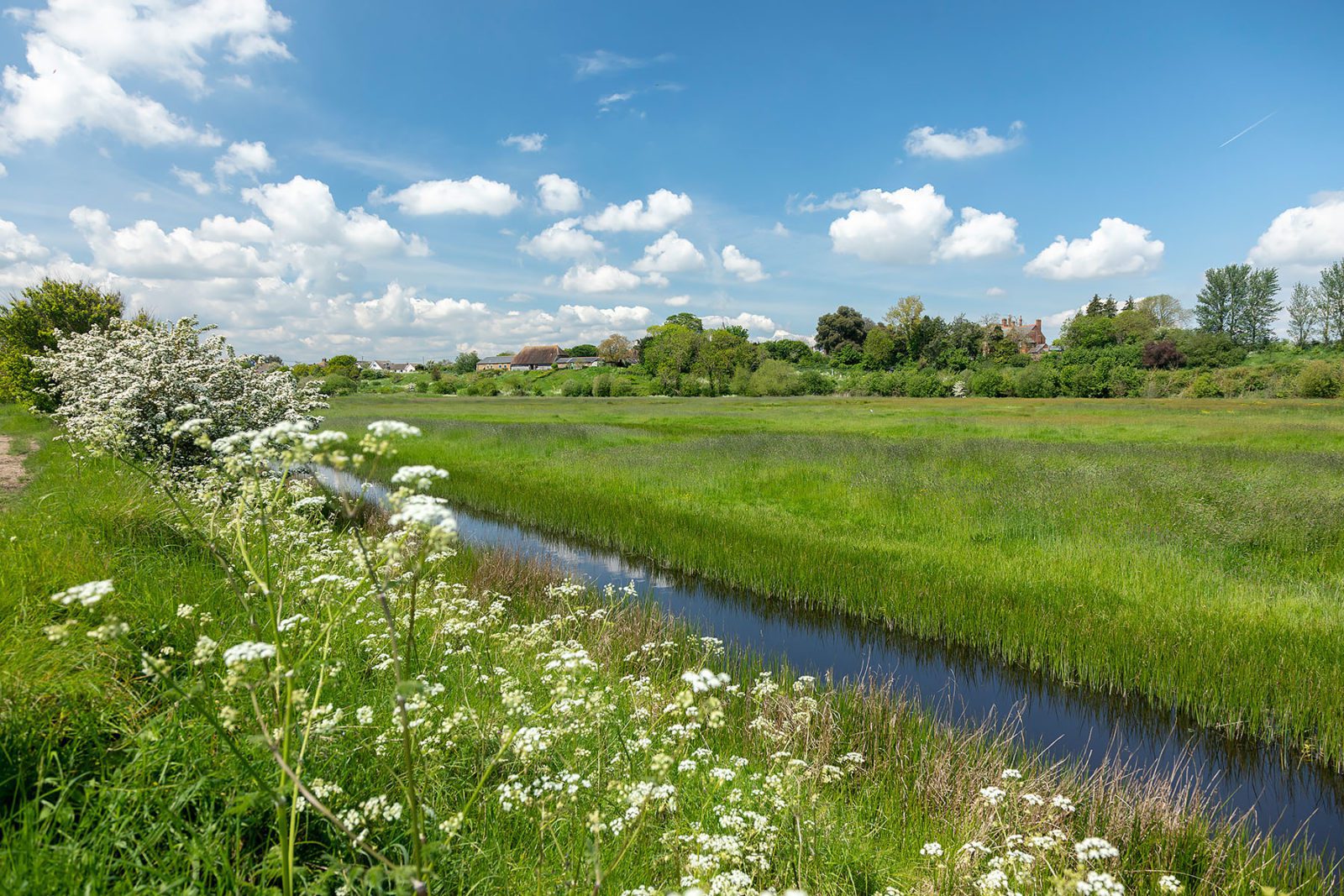 Oare Marshes Walk: Wetlands And Wildlife - Explore Kent