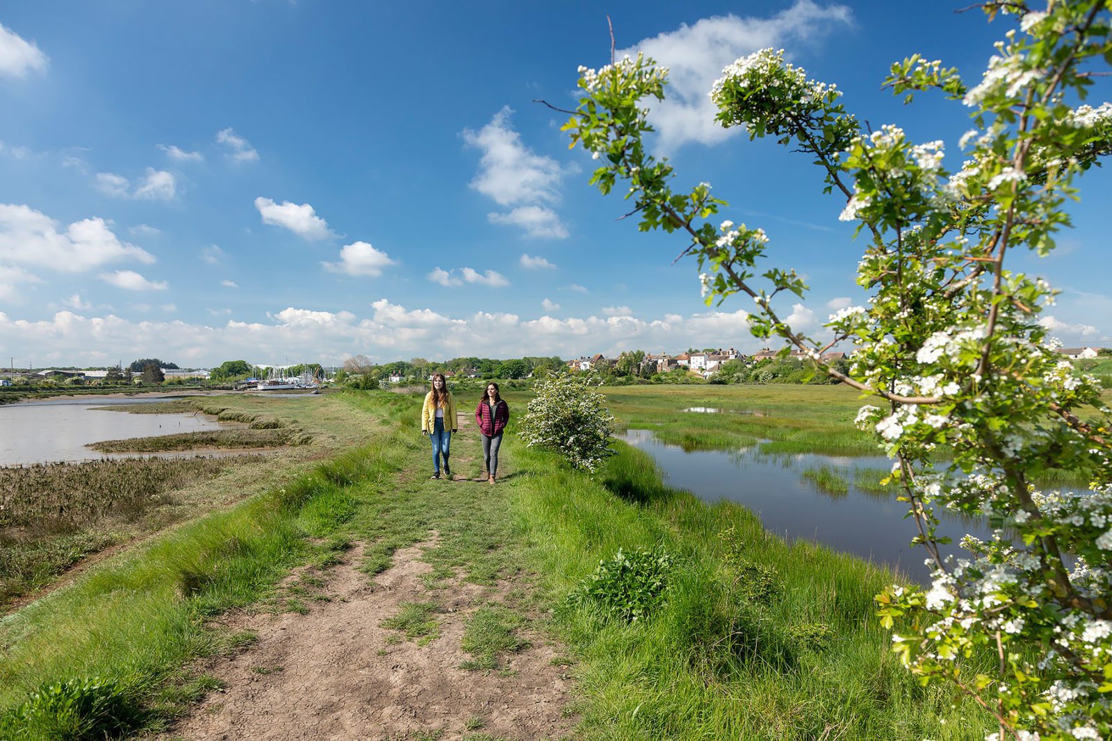 Oare Marshes Walk: Wetlands And Wildlife - Explore Kent