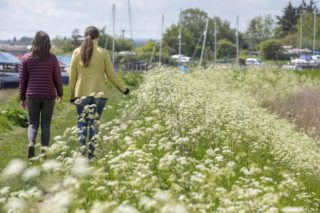 King Charles III England Coast Path - Kent - Explore Kent