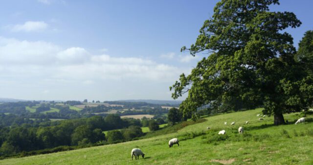 Swanscombe Peninsula Trail - Explore Kent