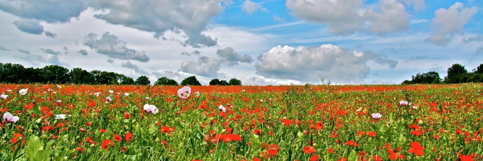 Welcome to Explore Kent - Explore Kent