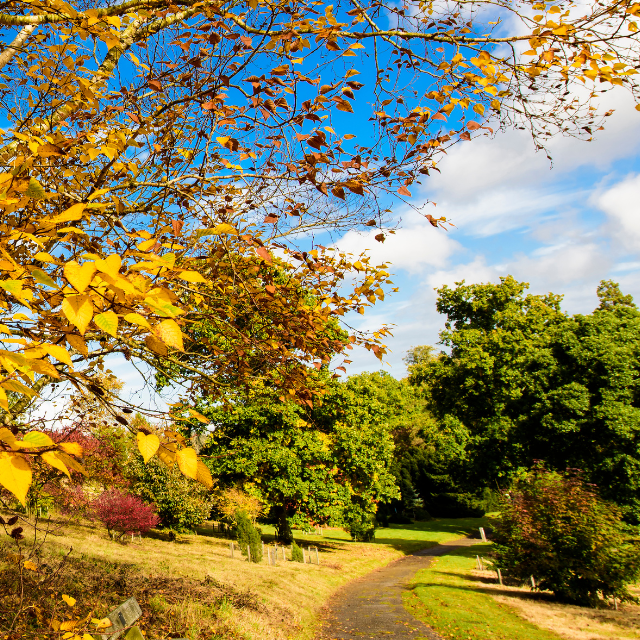 Welcome to Explore Kent - Explore Kent