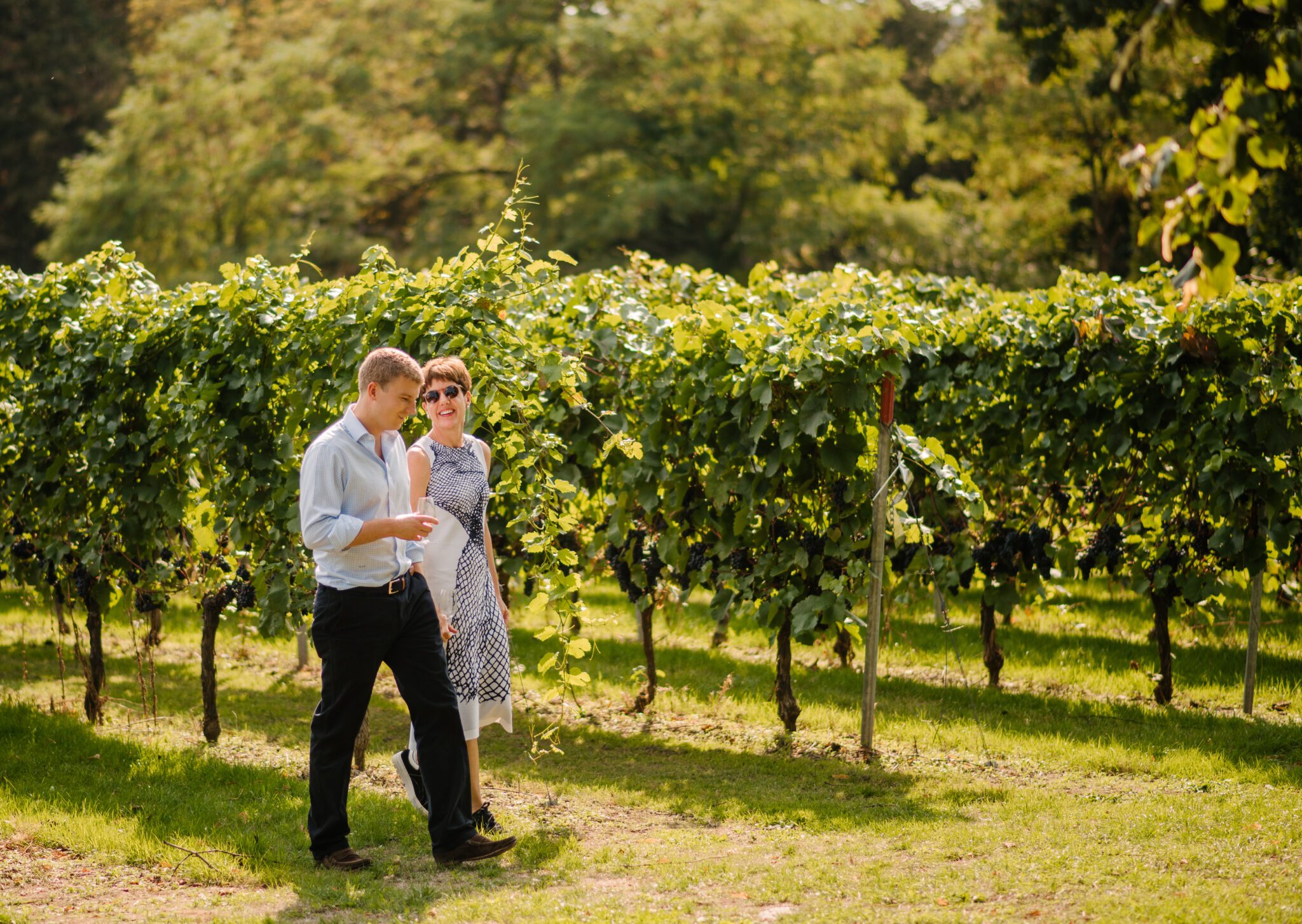 Explore Sevenoaks - Explore Kent