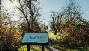 North Downs Way National Trail - Explore Kent