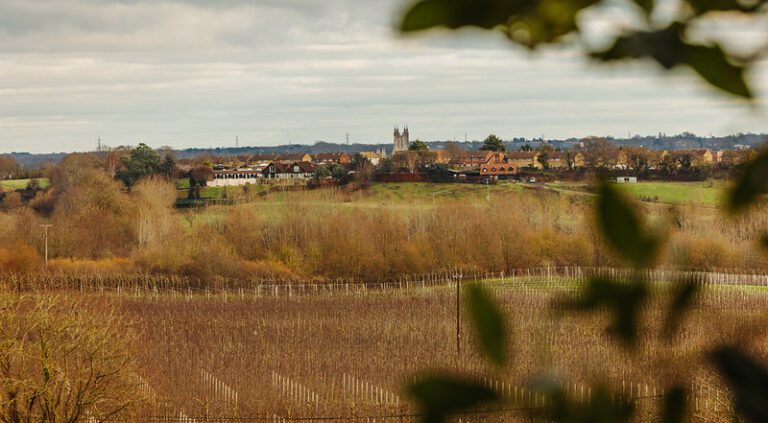 North Downs Way National Trail - Explore Kent