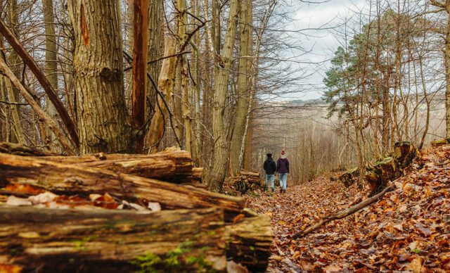 North Downs Way National Trail - Explore Kent
