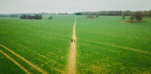 North Downs Way National Trail - Explore Kent