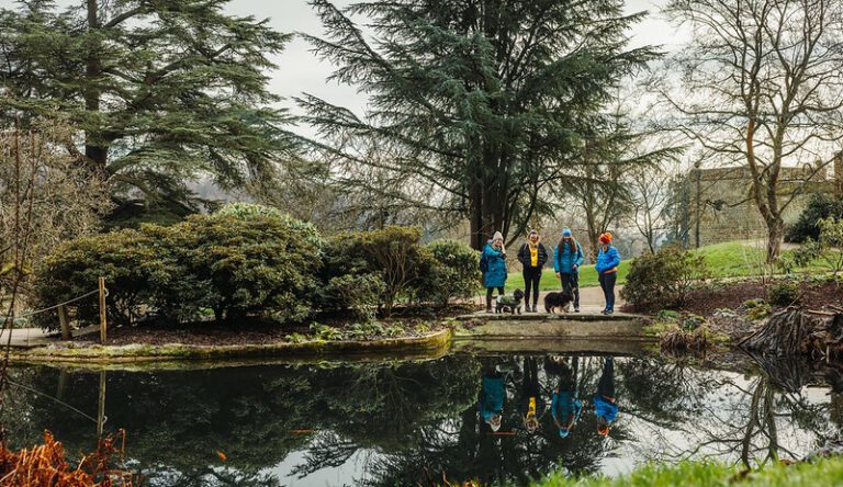 Top National Trust Walks for All - Explore Kent