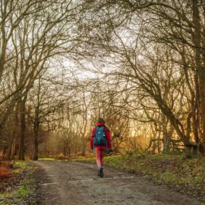 Welcome to Explore Kent - Explore Kent