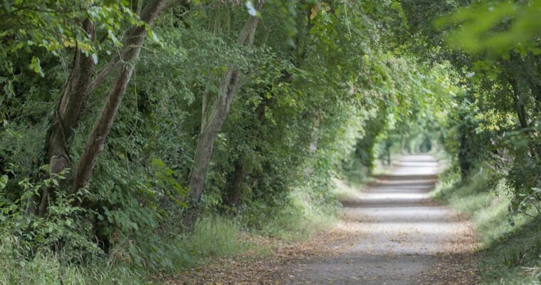 Report a fault to Public Rights of Way - Explore Kent