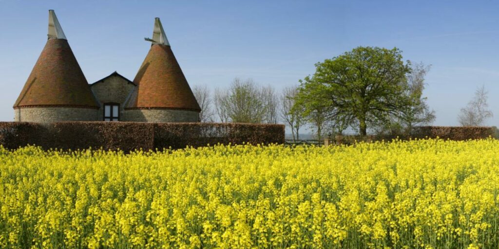 Welcome to Explore Kent - Explore Kent