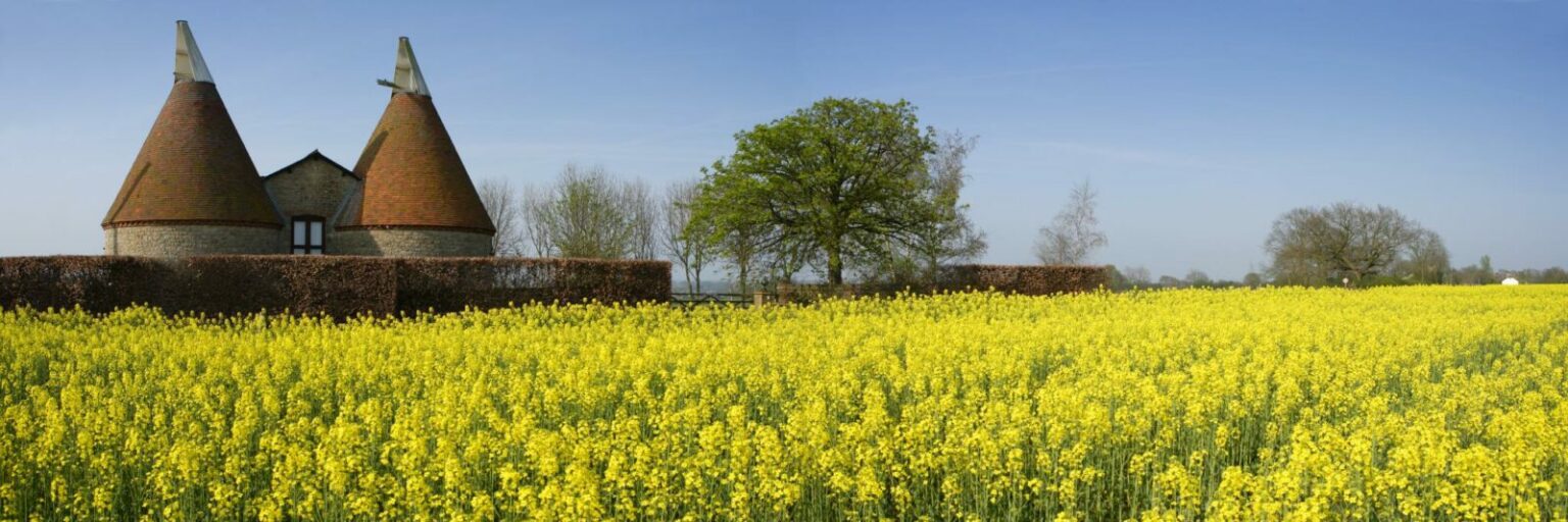 Welcome to Explore Kent - Explore Kent