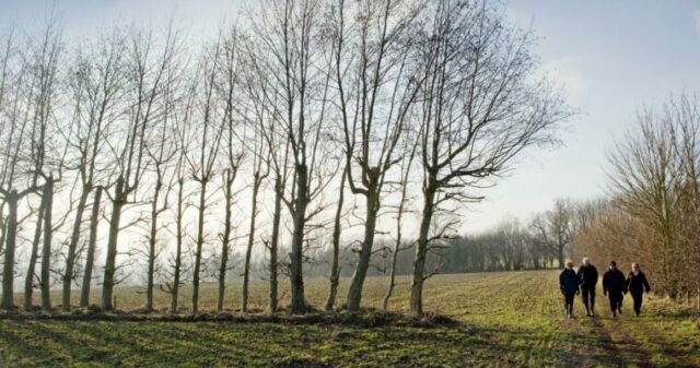 Syndale Valley walk - Newnham - Explore Kent