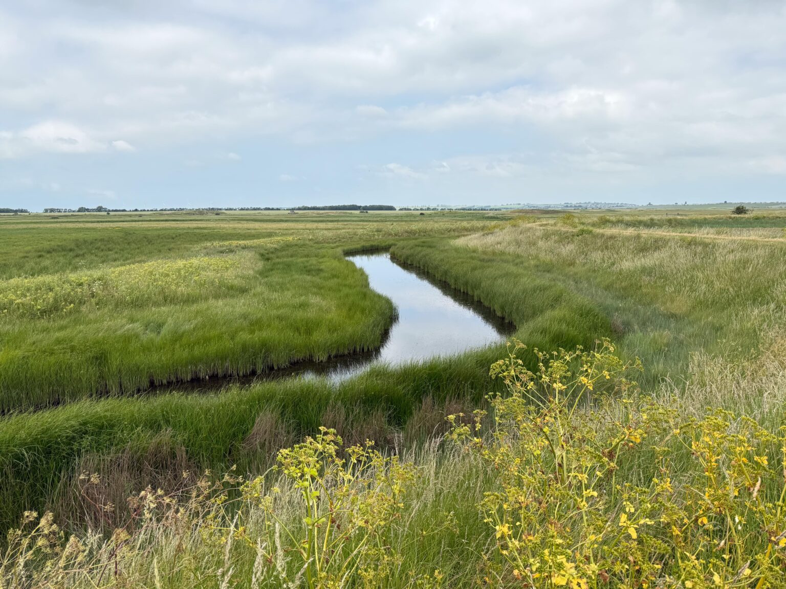Isle of Harty Circular Walk - Explore Kent